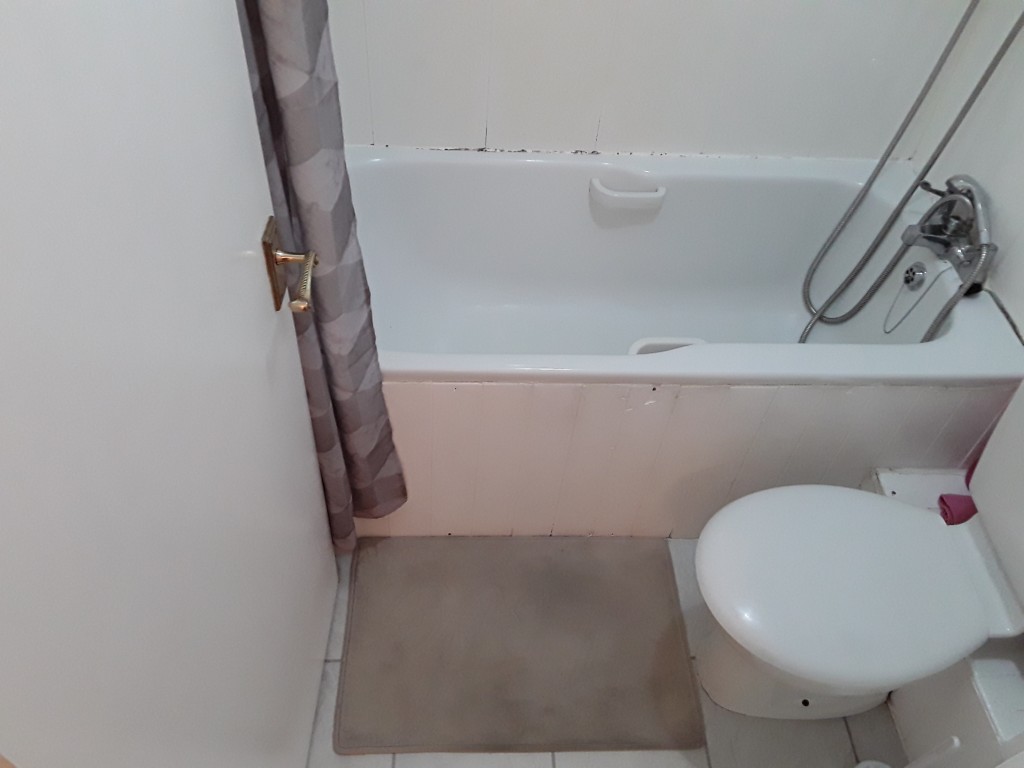 3 Bystock Terrace, Exeter, 1 bedroom, Apartment